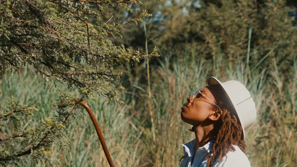 Theatrum Botanicum | Talking Objects Lab